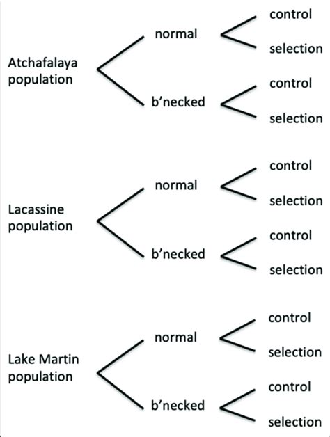 Diagram Of Experimental Design Of Selection Experiments With Three Download Scientific