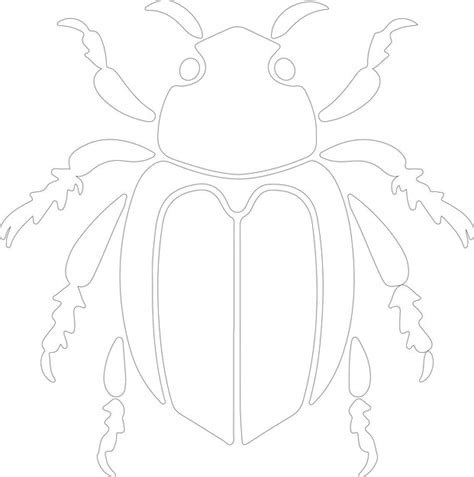 Premium Vector Bug Outline With Transparent Background