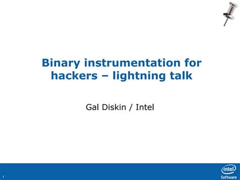 Hes 2011 Gal Diskin Binary Instrumentation For Hackers Lightning