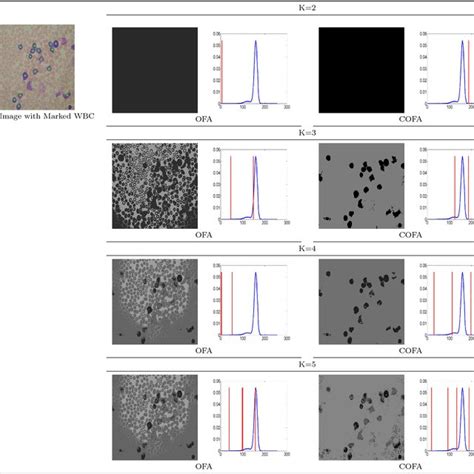 multi level thresholding results for im051 1 download scientific diagram