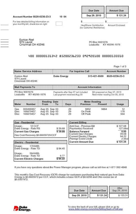 Utility Bill Statement Blank Utility Bill Editable Utility Bill
