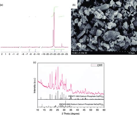 31 p nmr spectrum of cpp a sem of cpp particles b and xrd