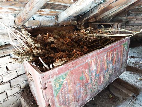 За втори път Задържаха бивш служител на БАБХ стопанисвал нарколаборатория в Шумен ВИДЕО