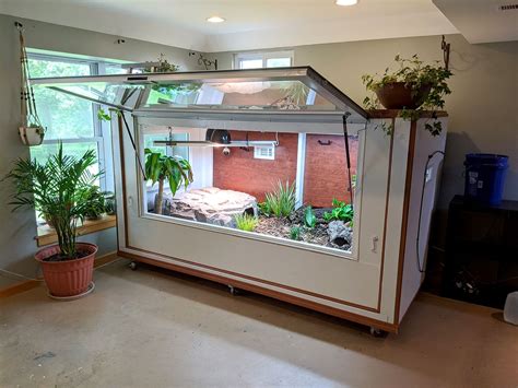 Darrows Custom Reptile Enclosure With Plants And Rocks