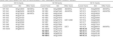 Table I From Tissue Speciﬁc Expression Patterns Of Arabidopsis Nf Y