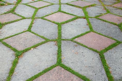A Garden Pathway Features Hexagonal Paving Stones Bordered By Vibrant