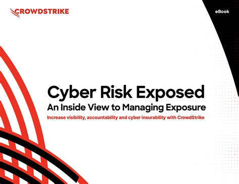 Cyber Risk Exposed An Inside View To Managing Exposure EBook