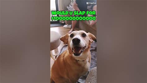 Jk Jk Short Funny Joke Cutedoge Youtube