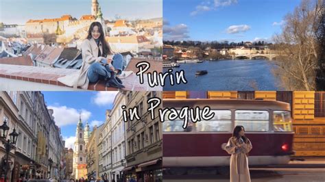 차푸린vlog 동유럽여행 브이로그 2탄 🇨🇿프라하여행혼자여행동유럽여행 Youtube
