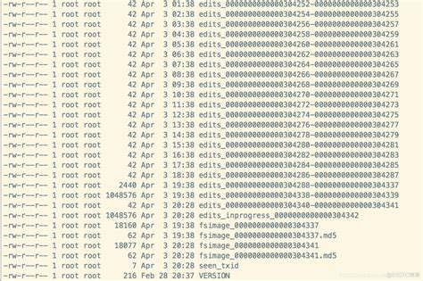 hadoop启动没有namenode datanode hadoop没有secondarynamenode mob6454cc7c698b的