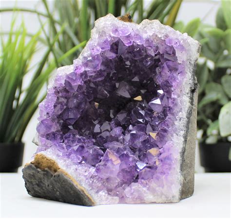 Huge Uruguayan Amethyst Cut Base Clusters 118 Lb A Grade Free