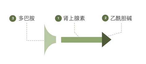 专注力的终极指南：如何有效提升专注力 心理学文章 壹心理
