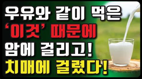 우유와 절대로 같이 먹지마세요 암과 치매에 걸릴 수 있습니다 최악의 궁합인 3가지와 암예방 면역력 올려주는 최고의 식품 3가지 우유효능 건강 정보 Youtube