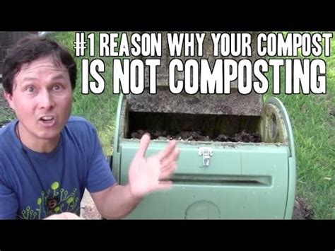 1 Reason Why Your Compost Is Not Composting YouTube