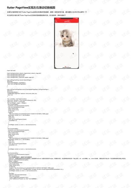 Flutterpageview实现左右滑动切换视图资源 Csdn文库 资源 Csdn文库