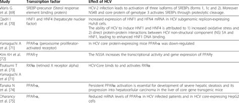 Modulations Induced By Hcv On The Transcription Factors Involved In The