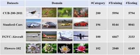 The Statistics Of Fine Grained Datasets And Some Examples Are Shown For Download Scientific