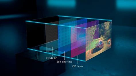 Oled Qd Oled Monitors Philips