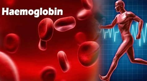 Normal Hemoglobin Range Know Normal Hemoglobin Levels By Age In Marathi