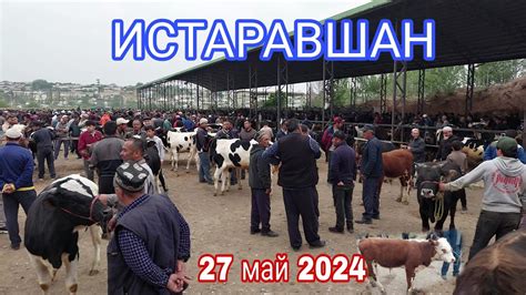 27 мая 2024 г МОЛБОЗОРИ ИСТАРАВШАН Youtube