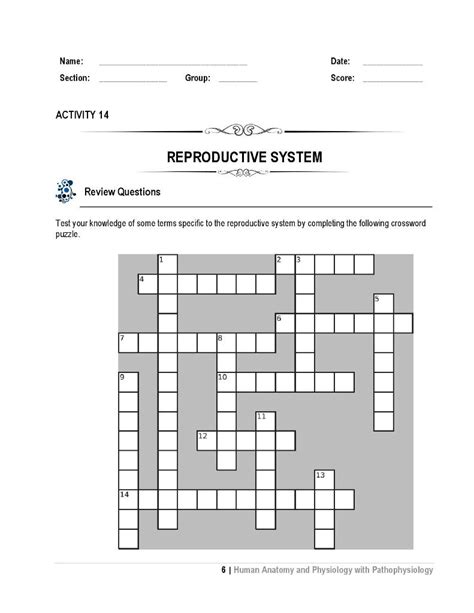 Solved Name Date Section Group Score Activity 14