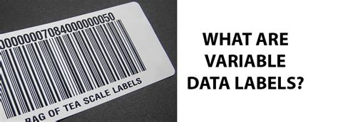 Variable Data Labels What Are They And When Do You Need Them