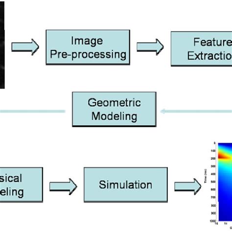 Image Processing Workflow Steps Involved From Light Microscopy Images Download Scientific