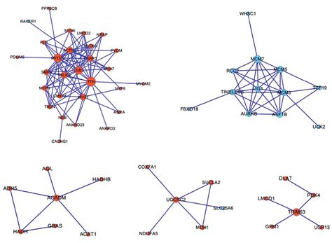 major functional modules of the protein protein interaction network of