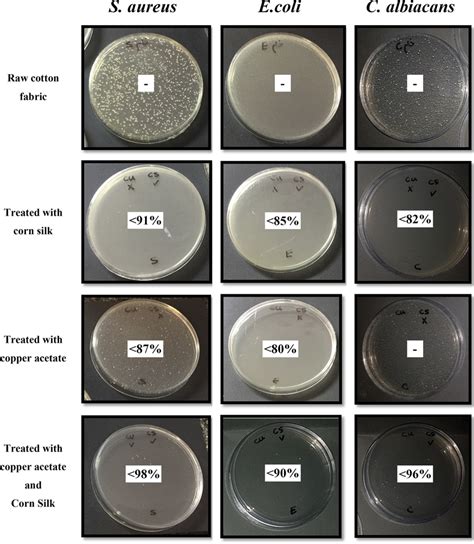 Antimicrobial Efficiency Of The Samples Download Scientific Diagram