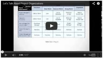 How Should You Structure Your Project Team PMbabe