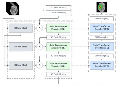Csu Net A Cnn Transformer Parallel Network For Multimodal Brain Tumour Segmentation