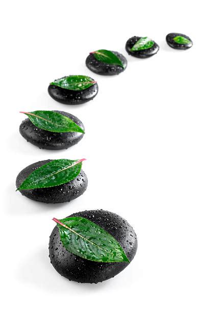 70 Steping Fotografías De Stock Fotos E Imágenes Libres De Derechos