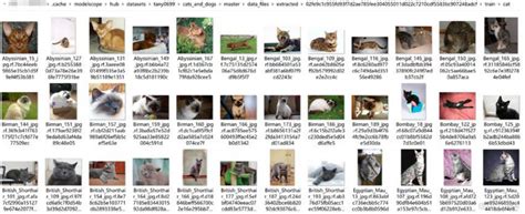 深度学习入门：猫狗分类1 运行环境与数据集准备wx63e25bc708649的技术博客51cto博客