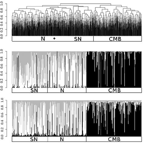 Hierarchical Plot Representing The Inferred Relationship Between Download Scientific Diagram