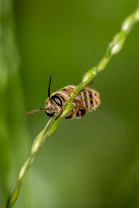 Diagonal Lines Krishna Mohan Photography