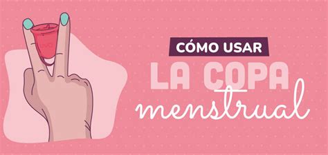 Tipos De Vulvas Copa Uva