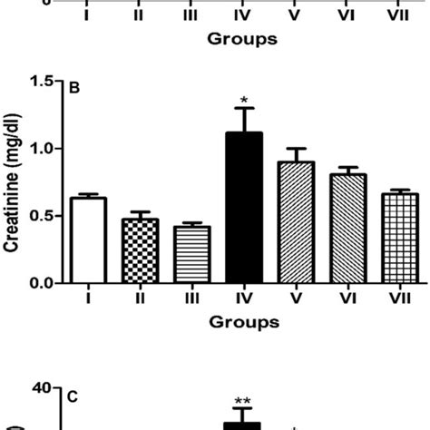 Effect Of Oral Administration Of Berberine Bbr On Urea A Download Scientific Diagram