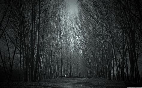 Spooky Forest Wallpapers Wallpaper Cave