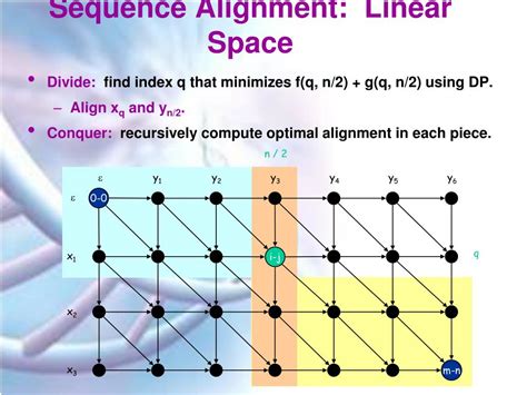PPT Exploring Sequence Alignment In Computational Biology PowerPoint Presentation ID