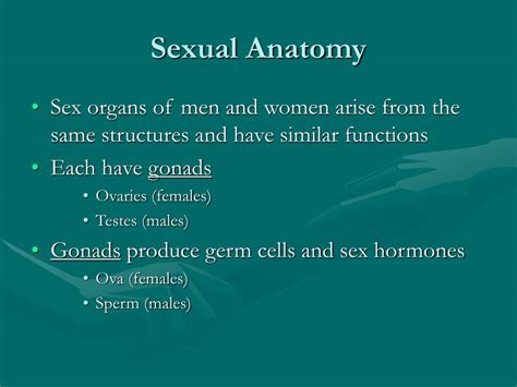 PPT Chapter Five PowerPoint Presentation Free Download ID