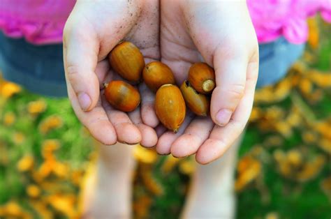 Rolling Thunder Rolling Thunder Photography And Design