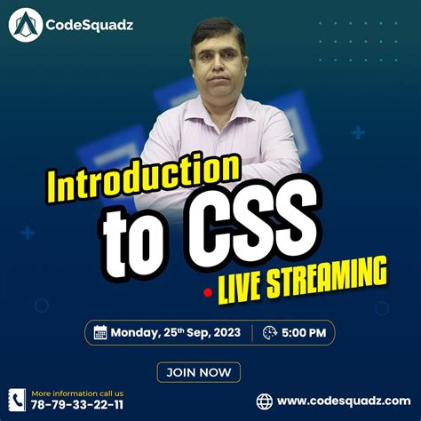 Css Cssbasics Livestream Livestreaming Codesquadz Learncss Technical Webdeveloper