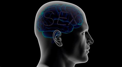 Trust A Scientist Sex Addiction Is A Myth