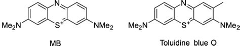 Phenothiazinium Photoantimicrobial Leads Download Scientific Diagram