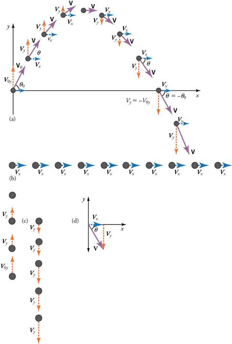 53 Projectile Motion Texas Gateway