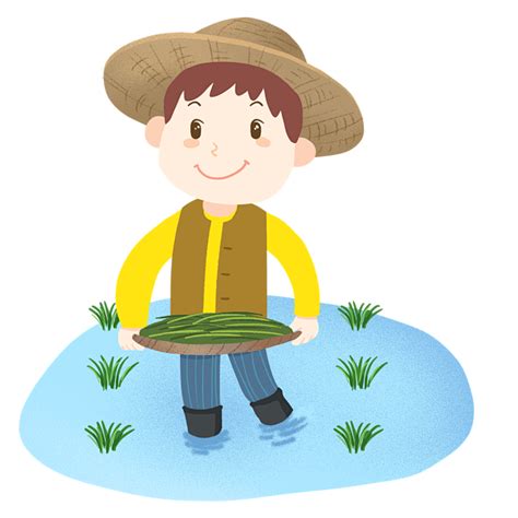 小满戴着草帽插秧的男孩
