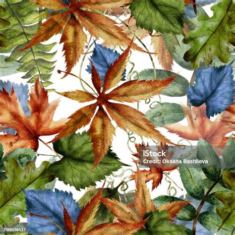 나무 잎이 있는 완벽 한 수채화 패턴입니다 린든 참나무 사시나무 고사리 사실적인 스타일의 흰색 배경에 그림 초대장 카드 식탁보 커튼 벽지 인쇄용 0명에 대한 스톡 벡터 아트