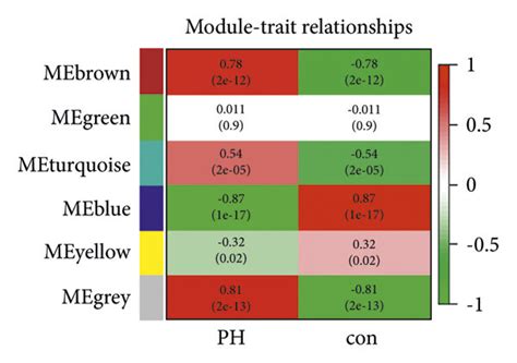 Weighted Gene Coexpression Network Analysis Wgcna A Moduletrait