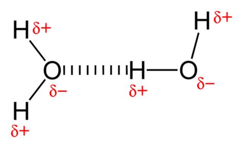 63 Forces Between Molecules Chemistry Libretexts
