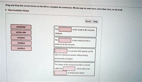 drag and drop the correct terms on the left to complete the sentences
